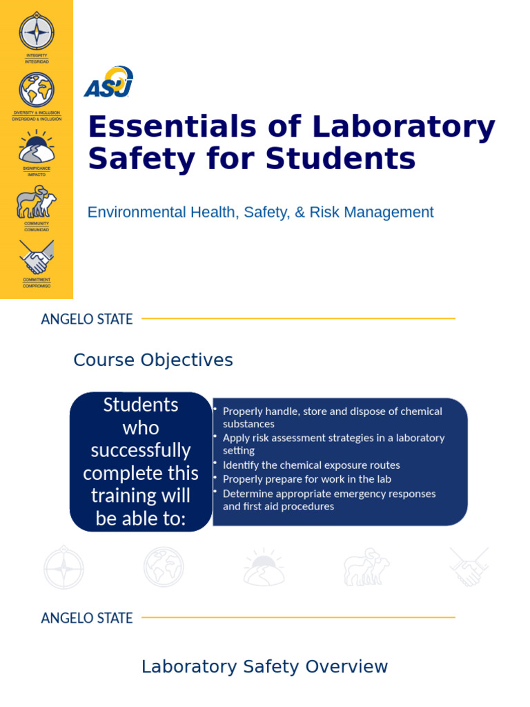 Lab and Chemical Hygiene Safety 2023 - Core Values Format | PDF ...