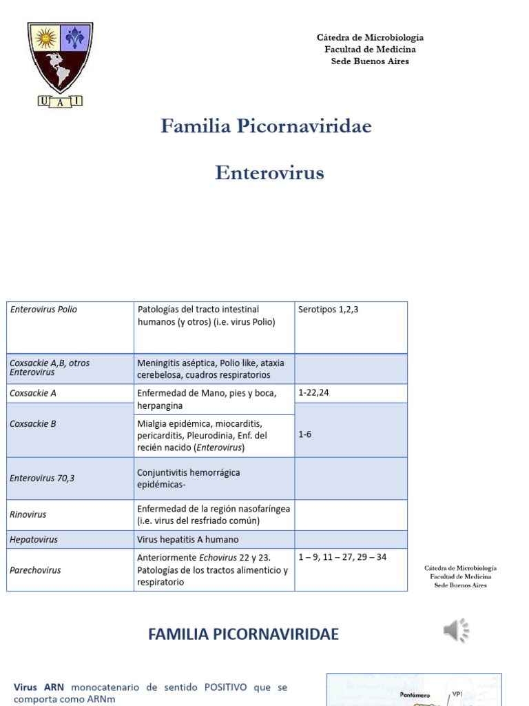 Picornavirus | PDF | Especialidades Medicas | Inmunología