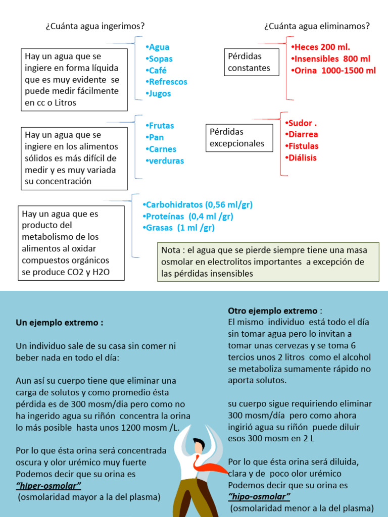 Diagramas de Darrow y Yannet: Equilibrio Hídrico | PDF | Agua | Alimentos