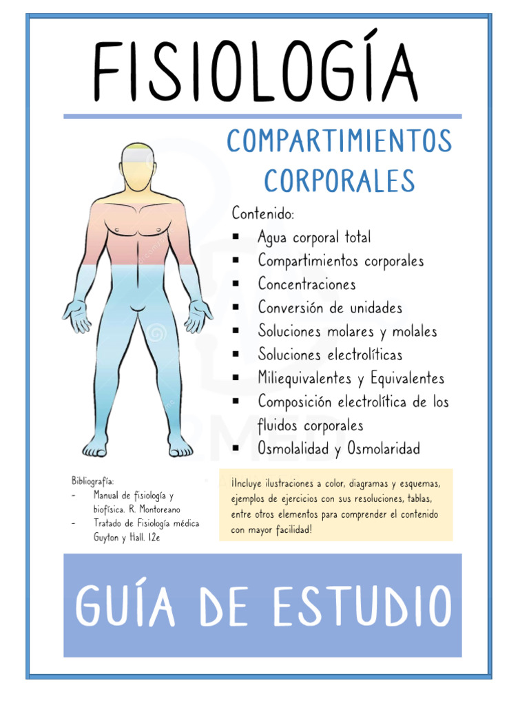 Compartimientos Corporales Pdf
