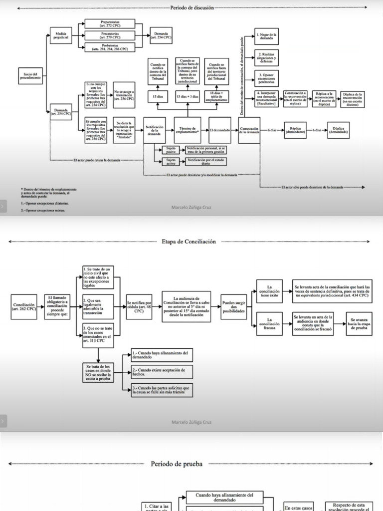 Esquemas Juicio Ordinario y Prueba | PDF