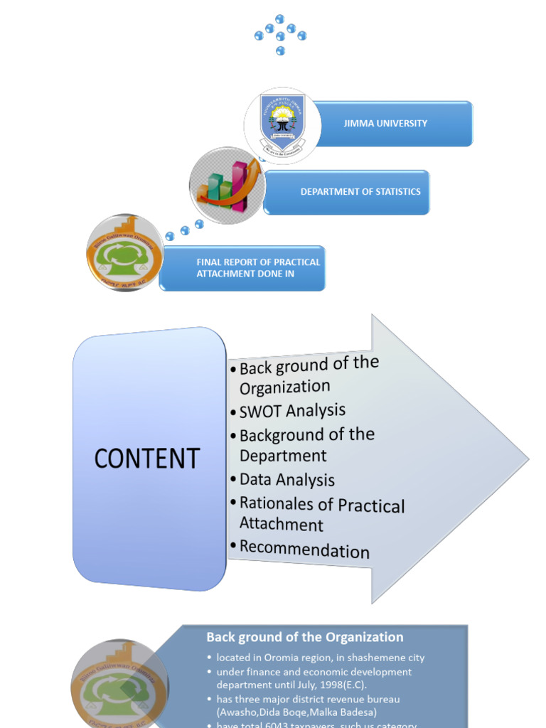 Practical Attachement Final Report | PDF | Taxes | Statistics