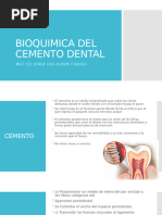 Tipos de Cemento Radicular: Acelular y Celular | PDF | Ramas de ...