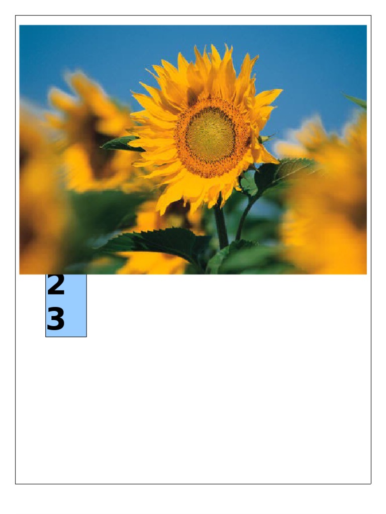 Official Soft Copy Report | PDF | Supply And Demand | Supply (Economics)