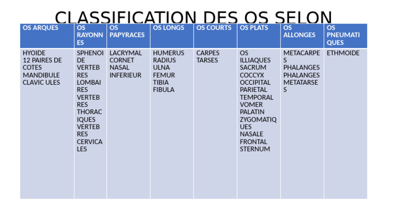 Classification Des Os Selon Leur Morphologie | PDF