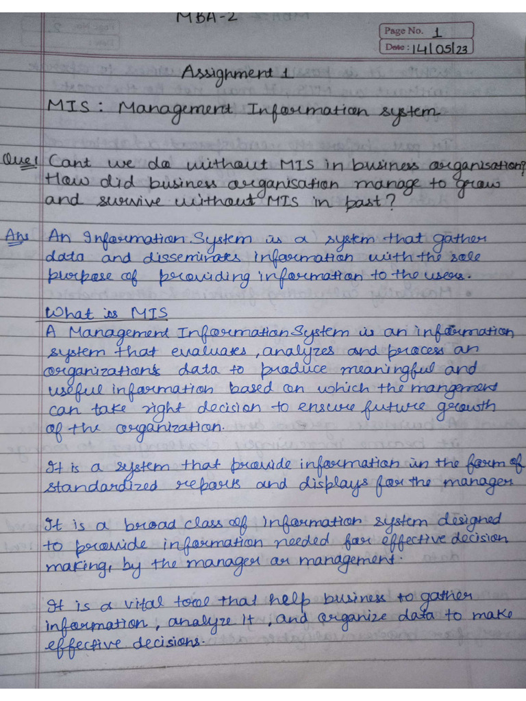 MIS Assignment | PDF