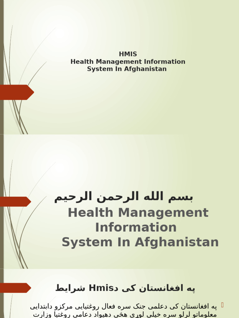 HMIS | PDF