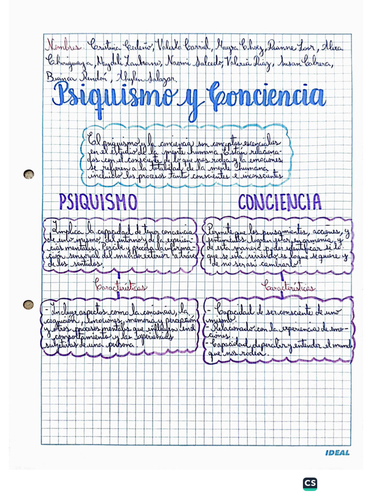 Psiquismo y Conciencia CUADROpdf | PDF