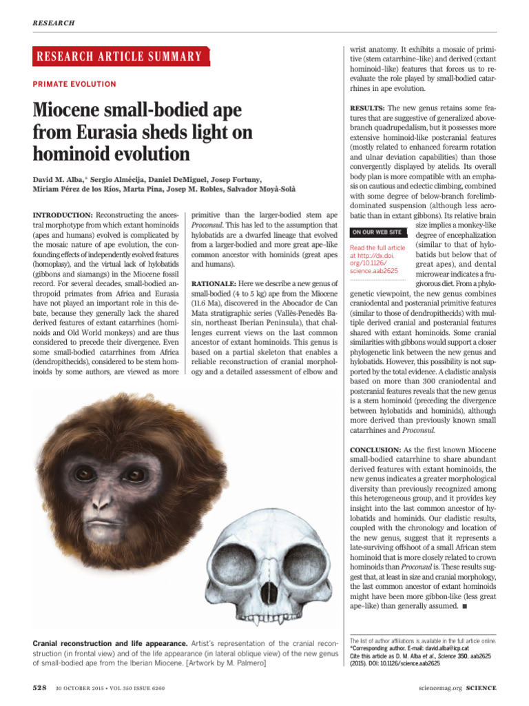 Miocene Ape Discovery Insights Hominoid Evolution | PDF | Ape | Hominidae
