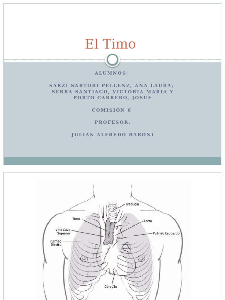El Timo | PDF | La insulina tiene gusto del factor de crecimiento 1 | Sistema inmune