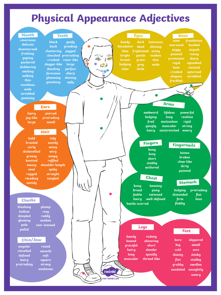 t2 e 5235 Physical Appearance Adjectives A3 Display Poster | PDF ...