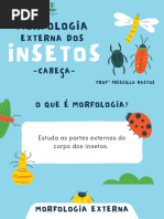 Aula 03 - Anatomia Externa | PDF | Insetos | Mosca