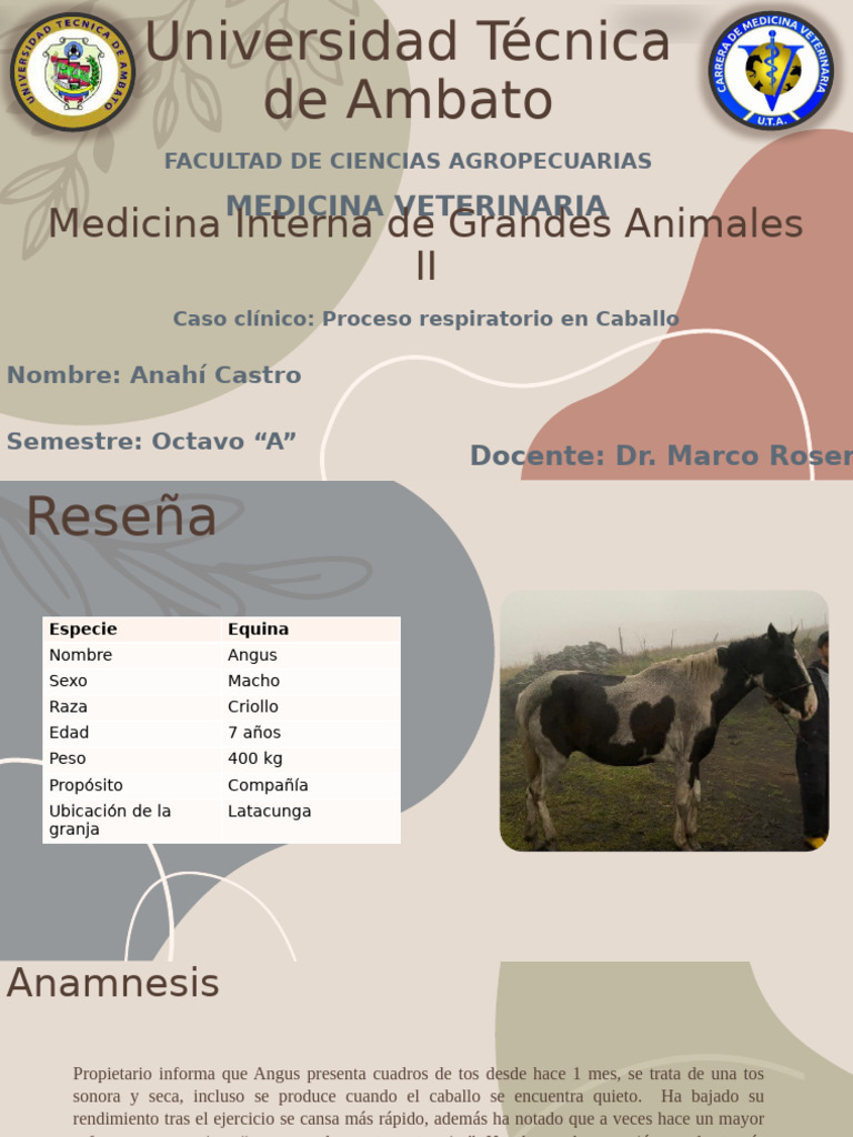 Proceso Respiratorio en Caballo: Caso Clínico | PDF | Tos | Alergia