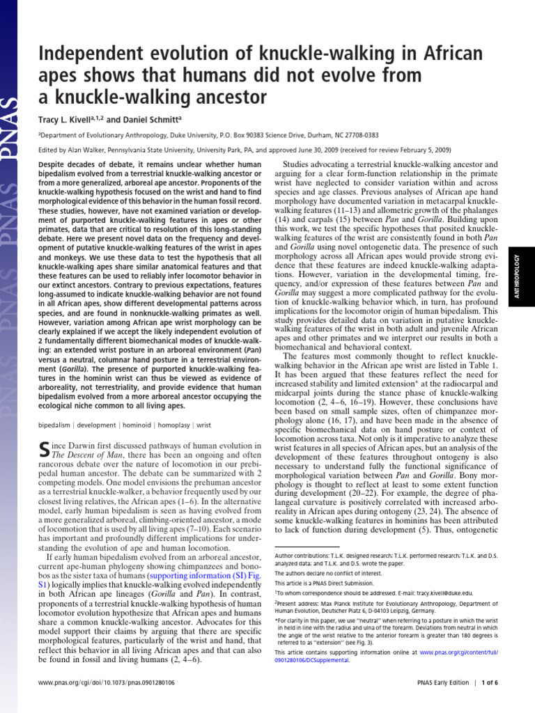 PNAS Knuckle Walking - Full | PDF | Social Science | Young Adult