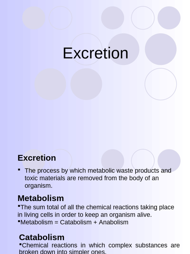 Excretion Ppts Pdf Kidney Organ Anatomy