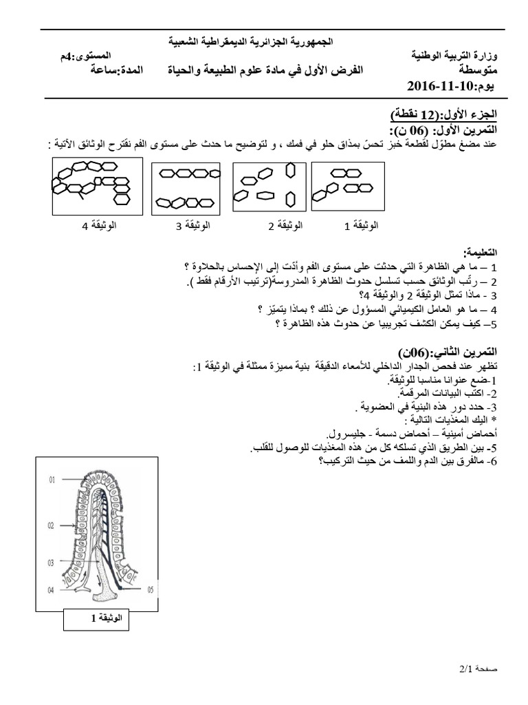 Dzexams 4am Sciences 403661 | PDF