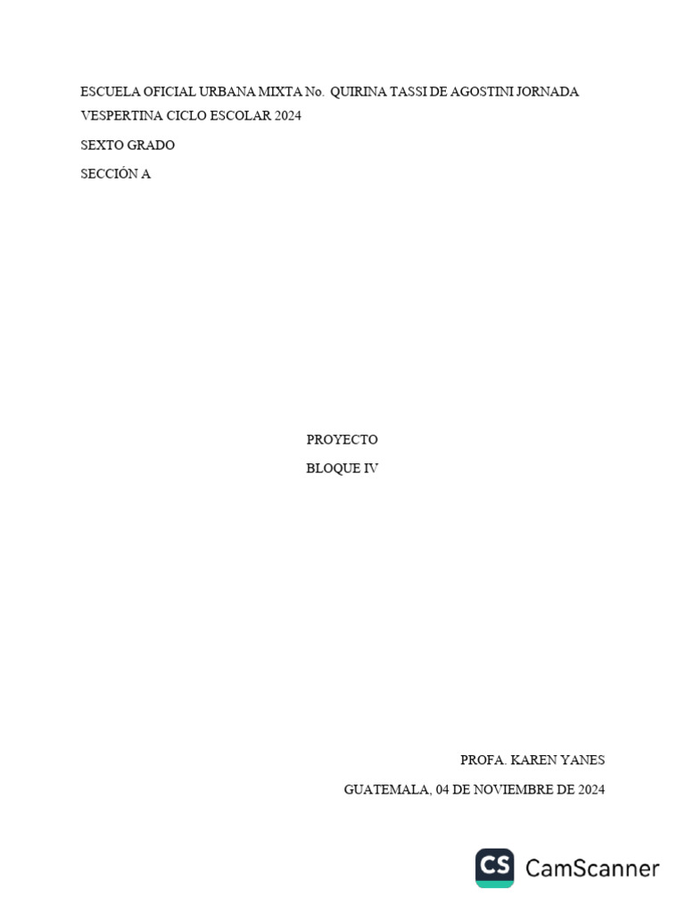 Proyecto Final | PDF | Objetivo