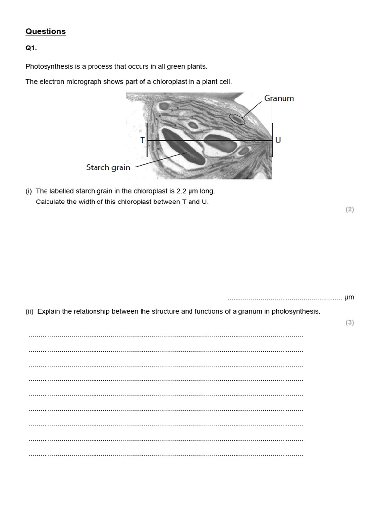 Photosynthesis-Gce Practice MS | PDF | Photosynthesis | Chloroplast