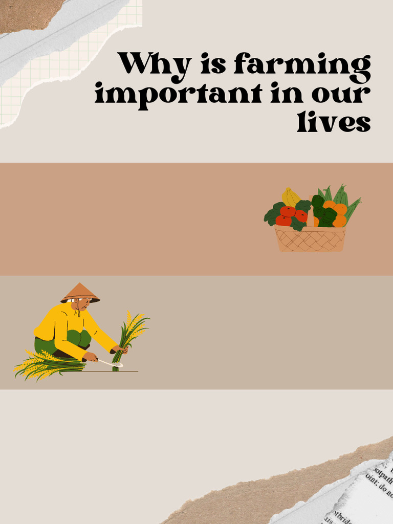 Why Is Farming Important in Our Lives | PDF | Technology & Engineering