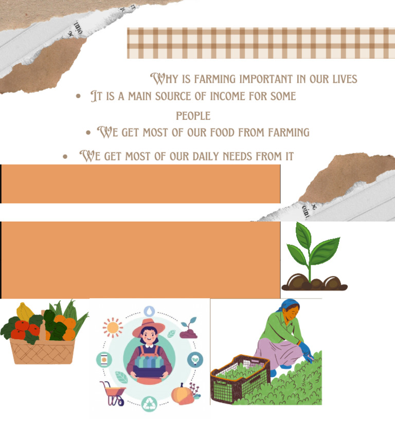 Why Is Farming Important in Our Lives | PDF