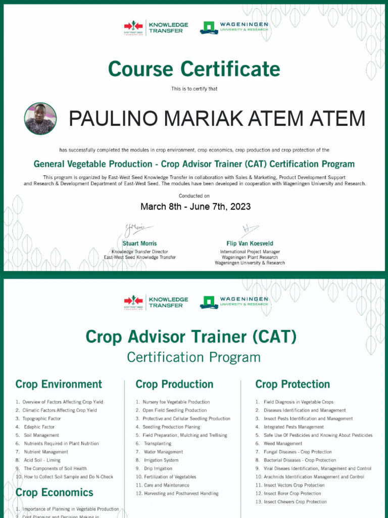 CAT External (Pic) - Paulino Mariak Atem Atem-1 | PDF