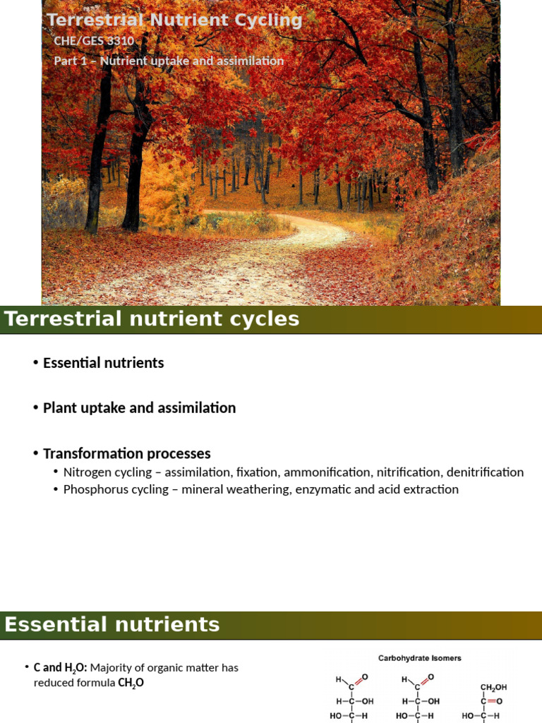 Terrestrial Nutrient Cycling: CHE/GES 3310 Part 1 - Nutrient Uptake and ...