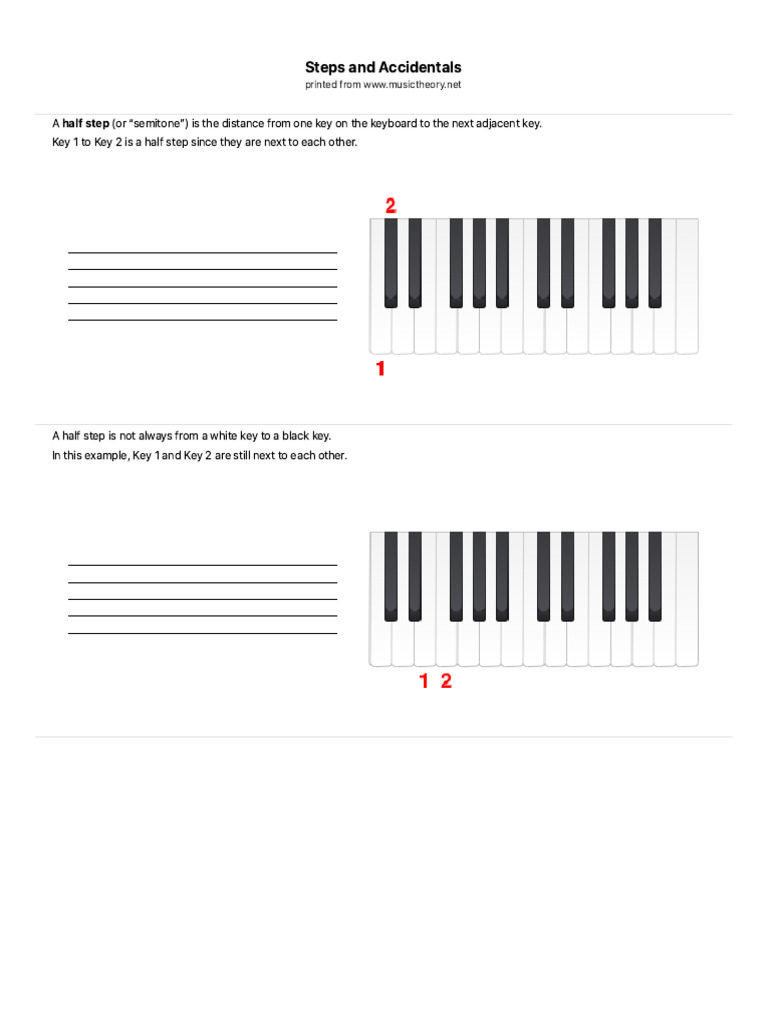 Music Theory: Steps & Accidentals | PDF