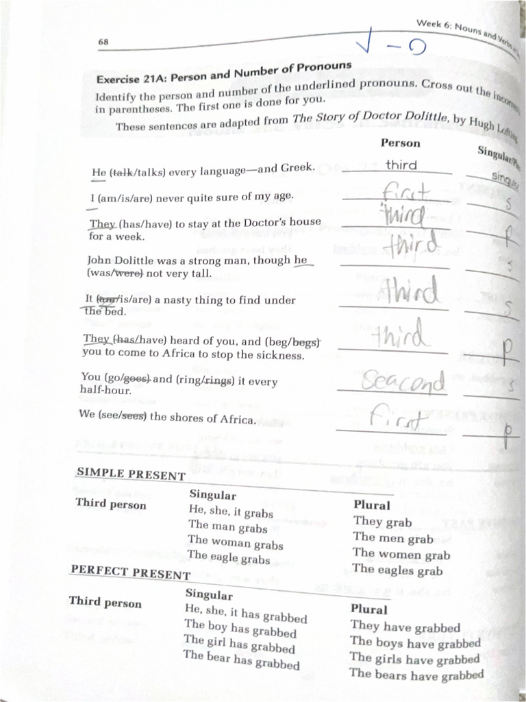 Exercise 21A Person and Number of Pronouns | PDF