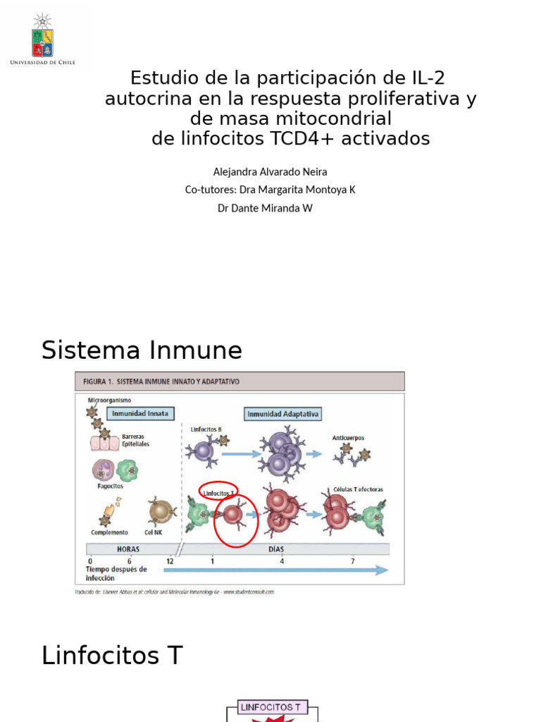 IL-2 Autocrino y Linfocitos T CD4+ | PDF | Interleucina 2 | T Helper Cell