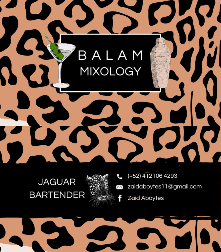 Tarjeta de Presentación Formal Negro y Blanco Elegante | PDF