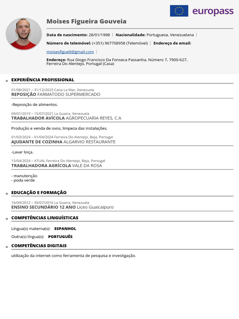 Moises CV | PDF