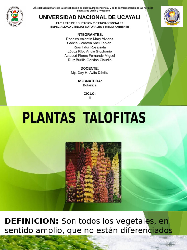 Talofitas: Clasificación y Reproducción | PDF | Hogar, jardinería y ...