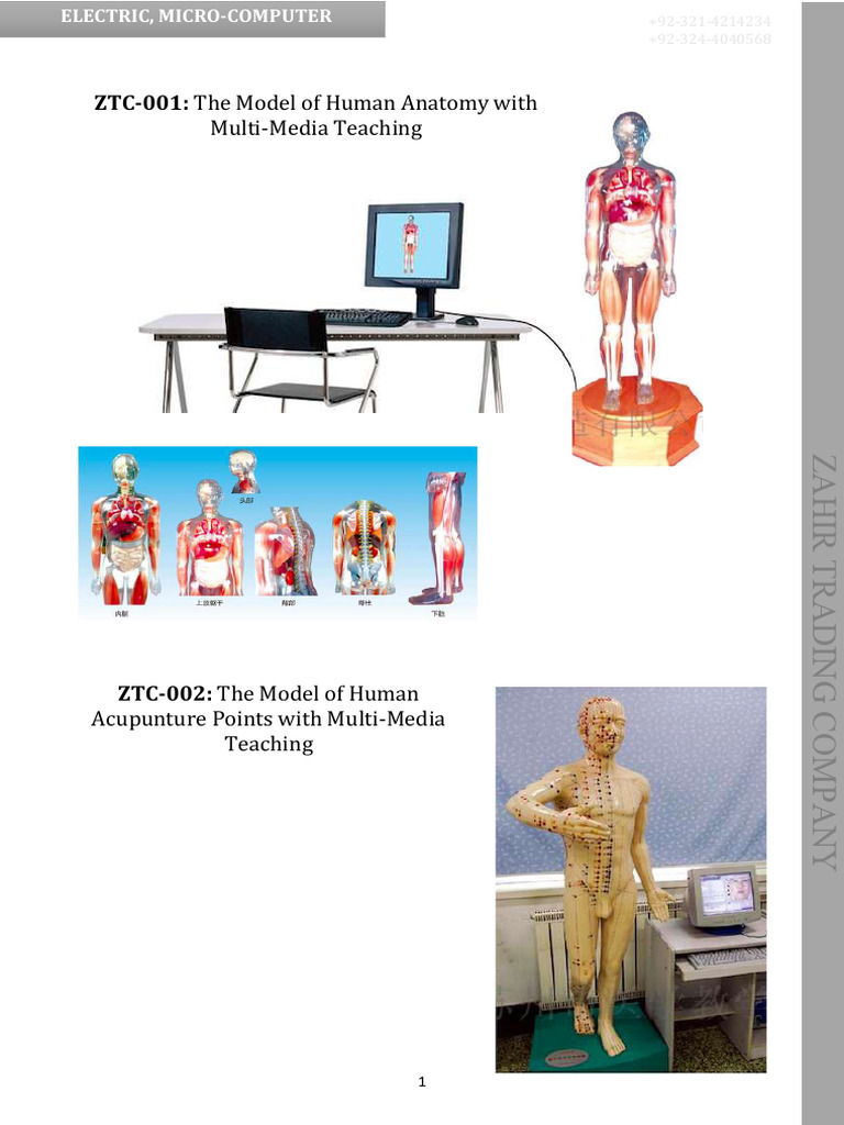 ZTC Catalouge Models | PDF | Tooth | Vertebra