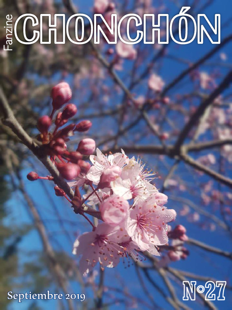 Chonchon 27 | PDF