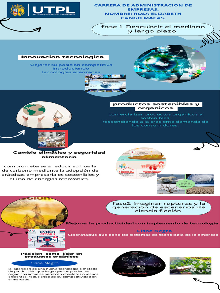 Infografia de Traabajo Final | PDF | Business | Economias