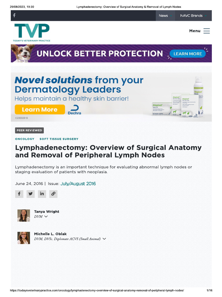 Lymphadenectomy | PDF