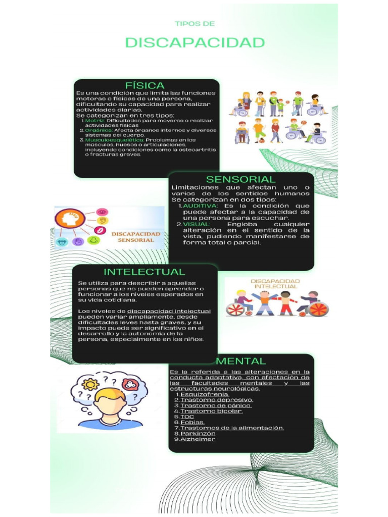 Infografia Tipos de Discapacidad | PDF