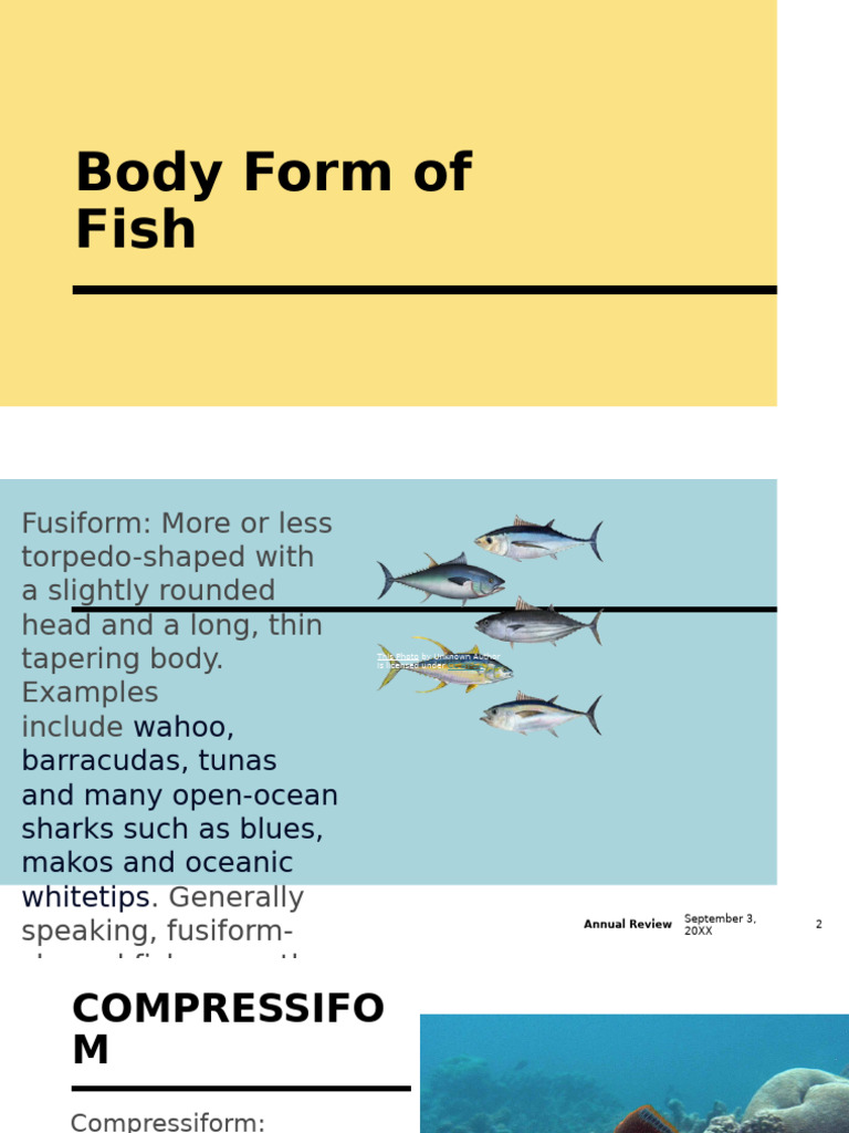 Body Form of Fish Afa Btte 2 | PDF | Fishery | Fish And Humans