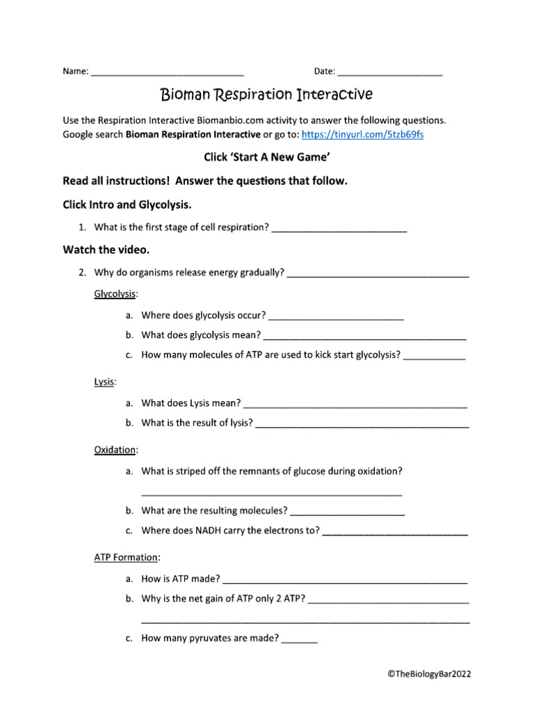 Cell Respiration Handout | PDF