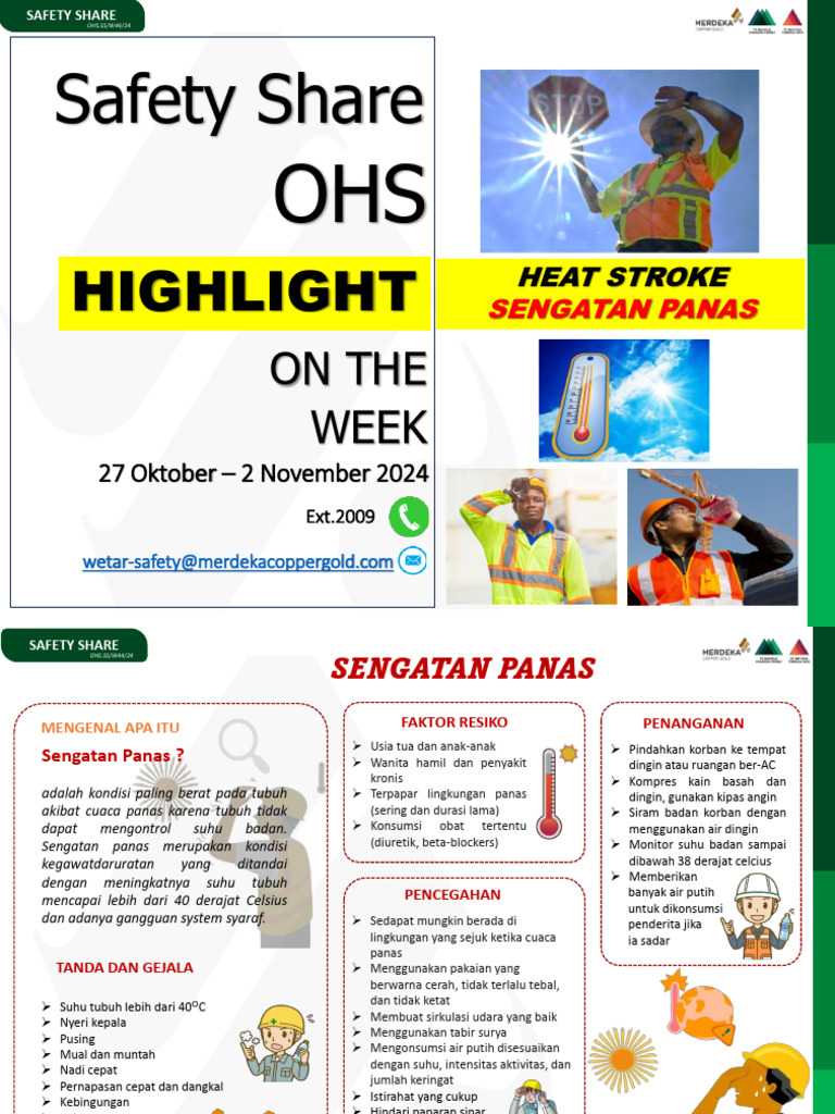 Heat Stroke | PDF