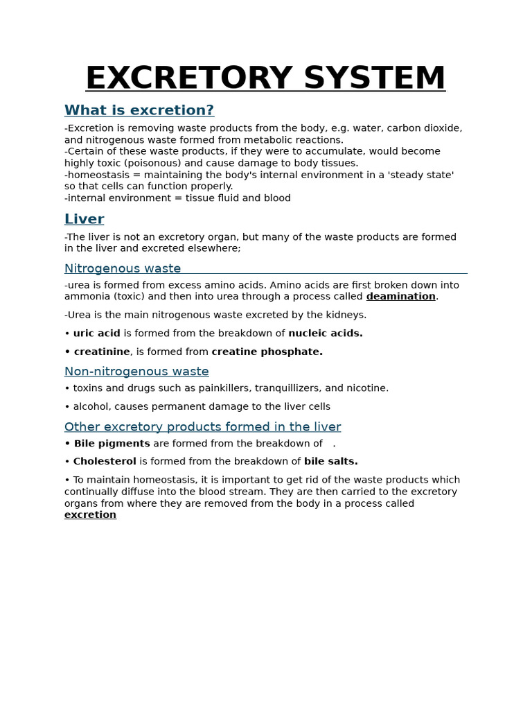 EXCRETORY SYSTEM | PDF | Kidney | Organ (Anatomy)