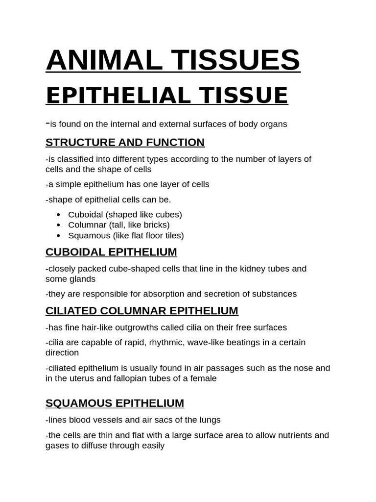 Types and Functions of Epithelial Tissue | PDF