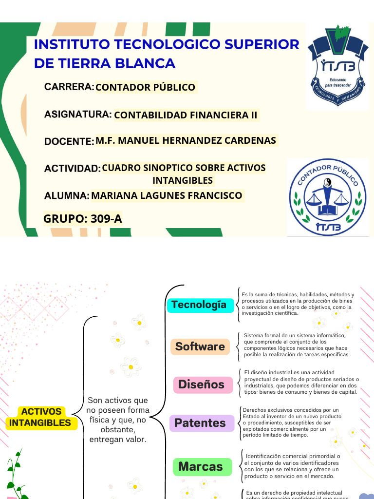 Activos Intangibles | PDF | Propiedad intelectual | Economias
