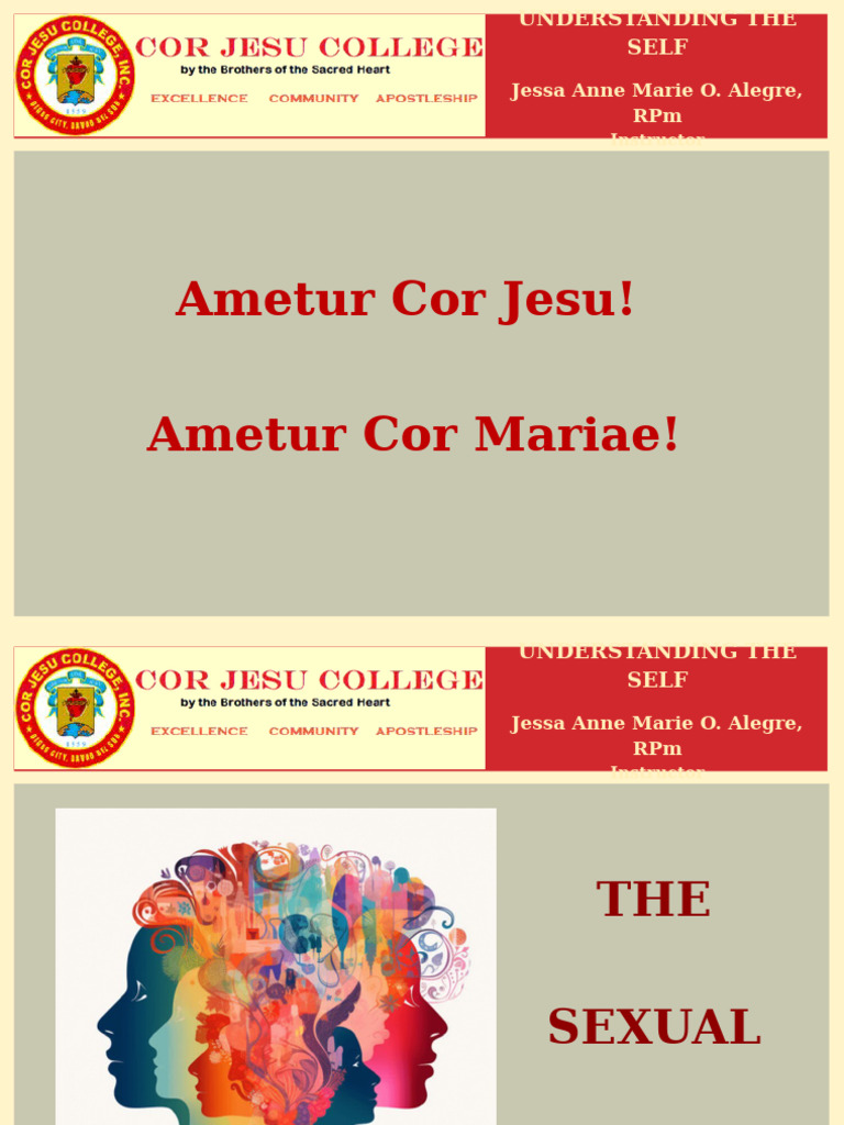 Lorynor Report On Sexual Diversity Edited November 02 2024 Final Lor Adrian Tere Rolly | PDF ...