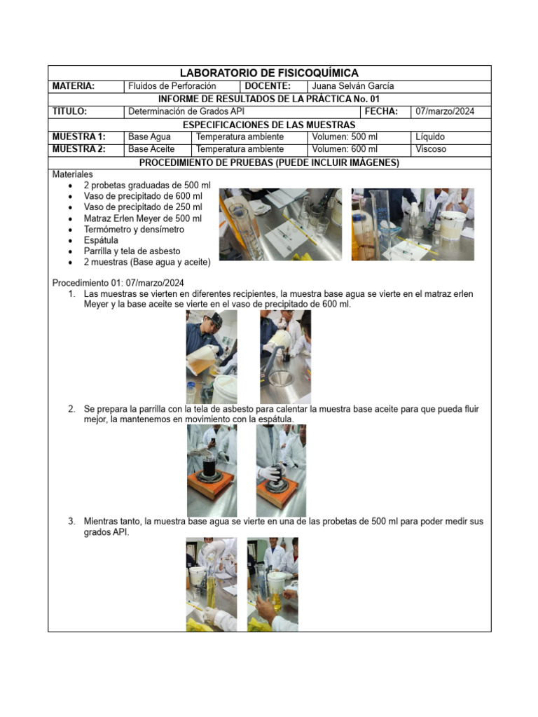 Determinación de Grados API | PDF | Física Aplicada e ...