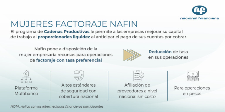 MujerEs Factoraje Nafin | PDF | Informática