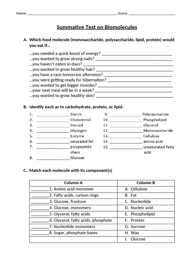 Summative Test On Biomolecules | PDF | Nucleic Acids | Molecular Biophysics