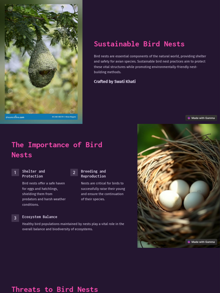Sustainable-Bird-Nests | PDF | Conservation Biology | Birds