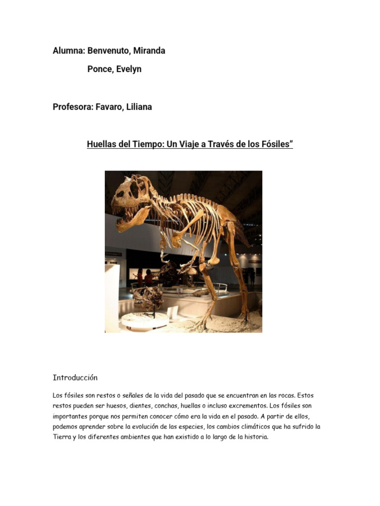 Trabajo Práctico Fosiles | PDF | Fósil | Paleontología