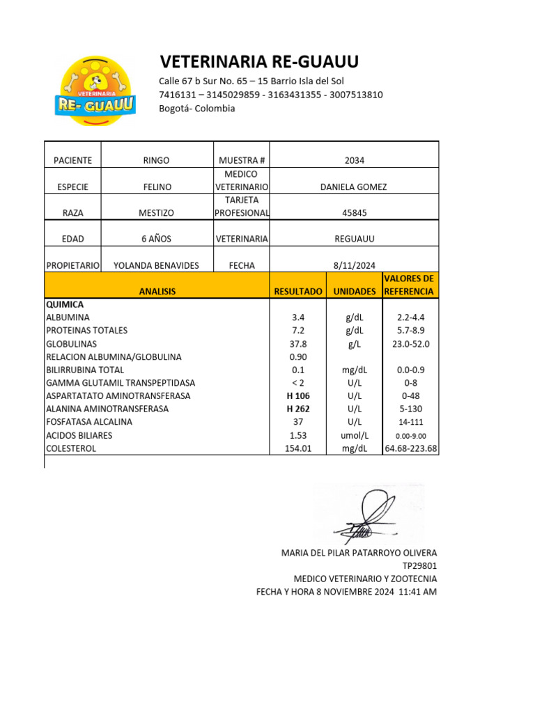 Resultados Disco Ringo | PDF | Cocina, comidas y vino | Salud y bienestar